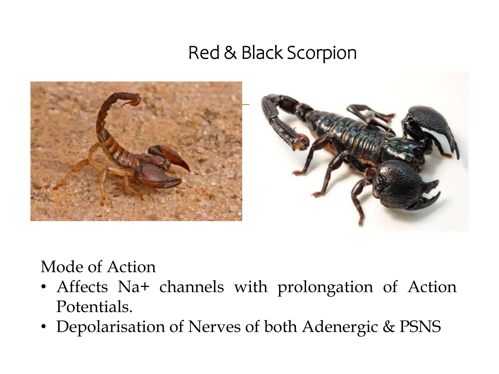 Clinical features & Management of ARTHROPODS STING AND BITES.pptx ...
