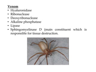 Clinical features & Management of ARTHROPODS STING AND BITES.pptx