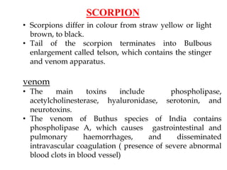 Clinical features & Management of ARTHROPODS STING AND BITES.pptx