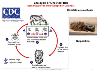 Arthropods (ticks) by Md. Abdul Alim, CVASU, Bangladesh | PPT