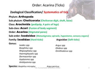 Arthropods (ticks) by Md. Abdul Alim, CVASU, Bangladesh | PPT