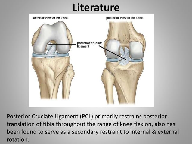 Arthroscopic pcl reconstruction | PPTX