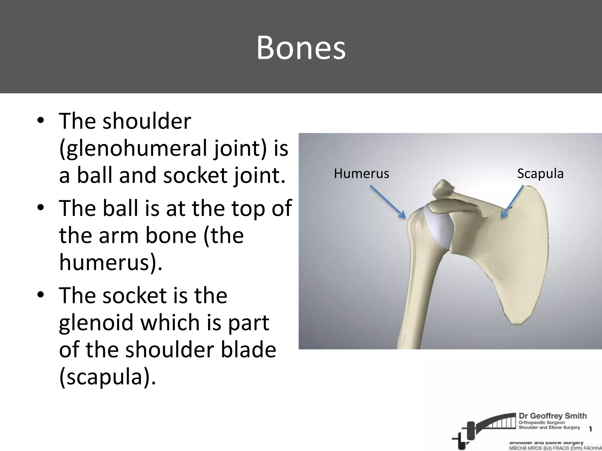 Arthroscopic shoulder stabilisation patient information | PPTX