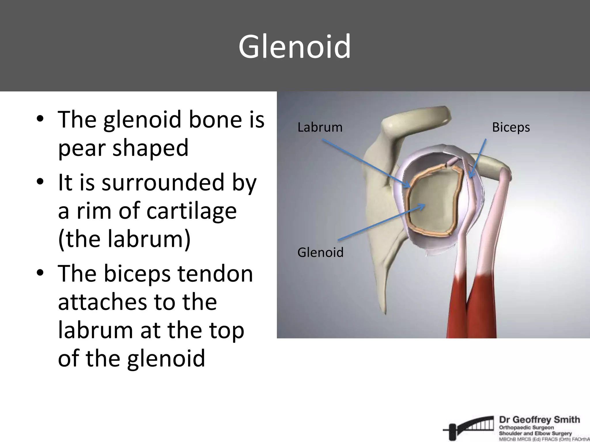 Arthroscopic shoulder stabilisation patient information | PPTX