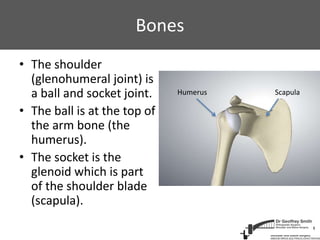 Arthroscopic shoulder stabilisation patient information | PPTX