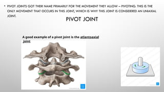 Topic Arthrosyndesmology , vertebrae, joints | PPTX