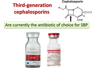 albumin use in SBP patients | PPT