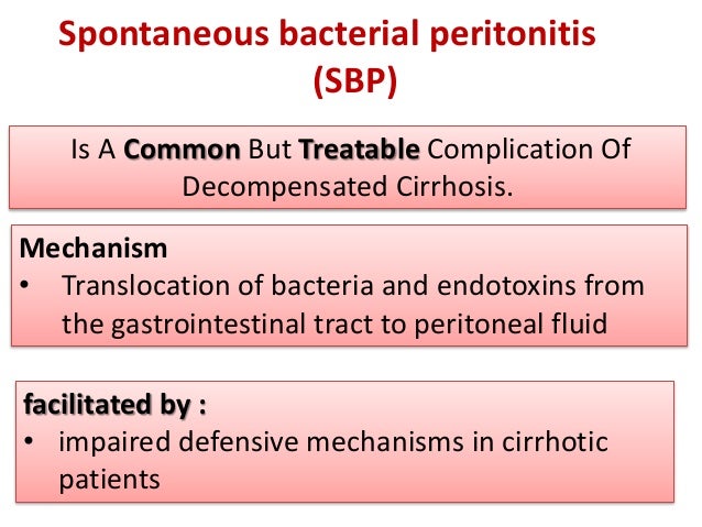 albumin use in SBP patients
