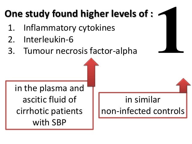 albumin use in SBP patients