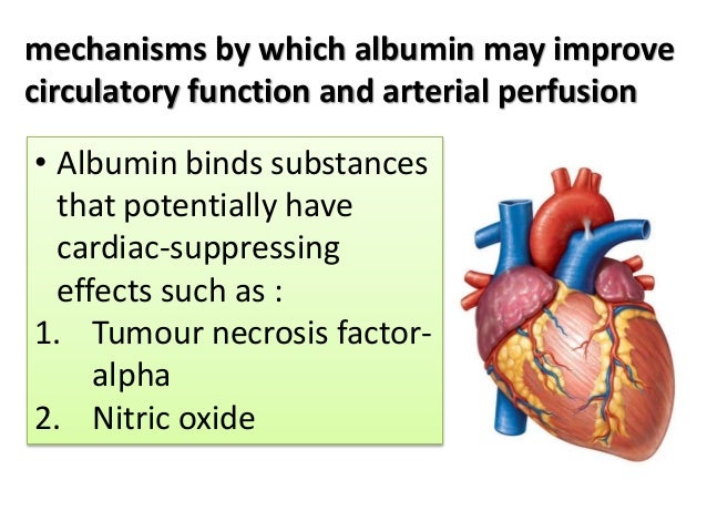 albumin use in SBP patients