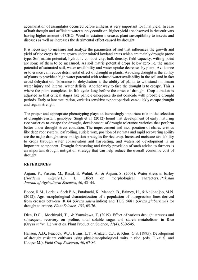 Drought Stress in Rice (Oryza Sativa L.) | PDF | Agriculture | Industries