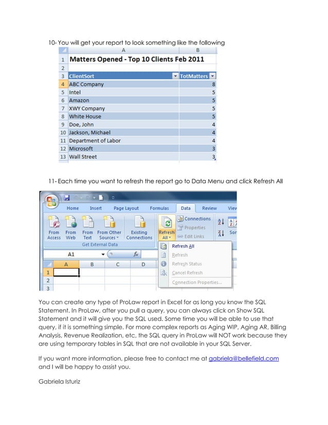 Creating ProLaw Reports using Excel | PDF