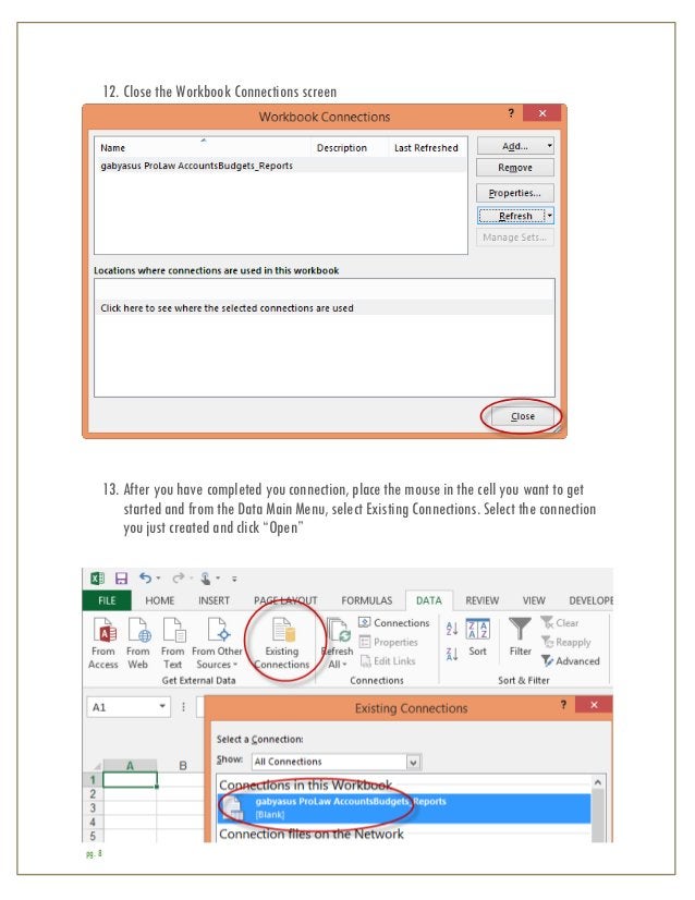 Creating ProLaw Reports using Excel | PDF