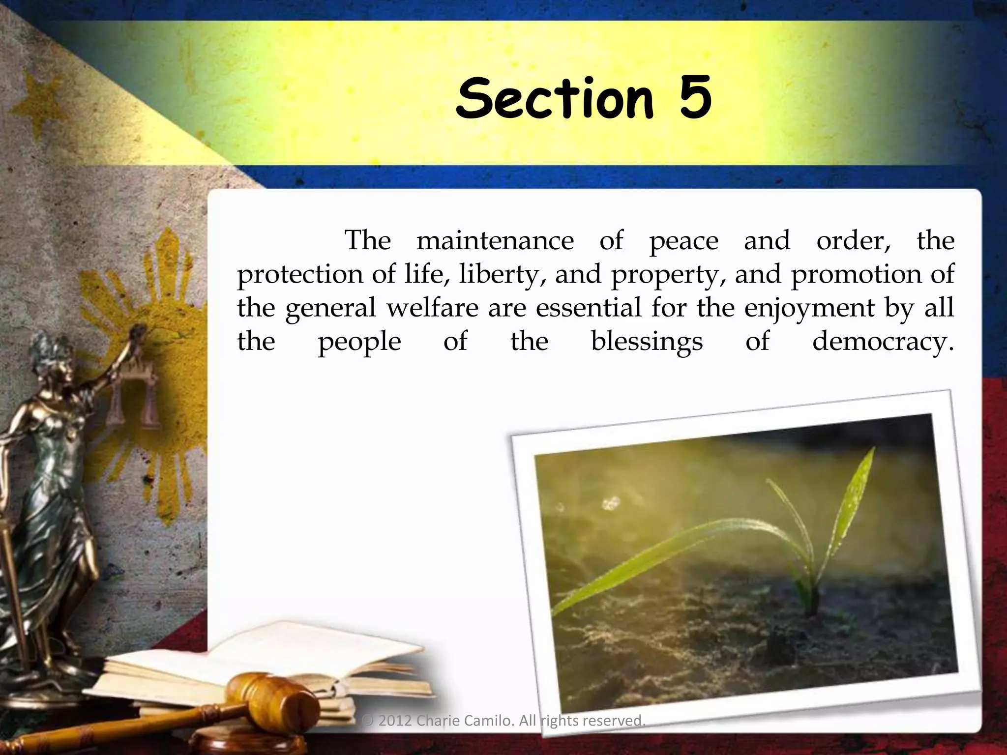 Philippine Constitution 1987 (Article 2) | PPTX