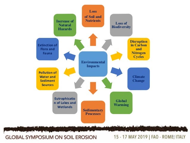 The conceptual model for conservation of natural resources in forestr…