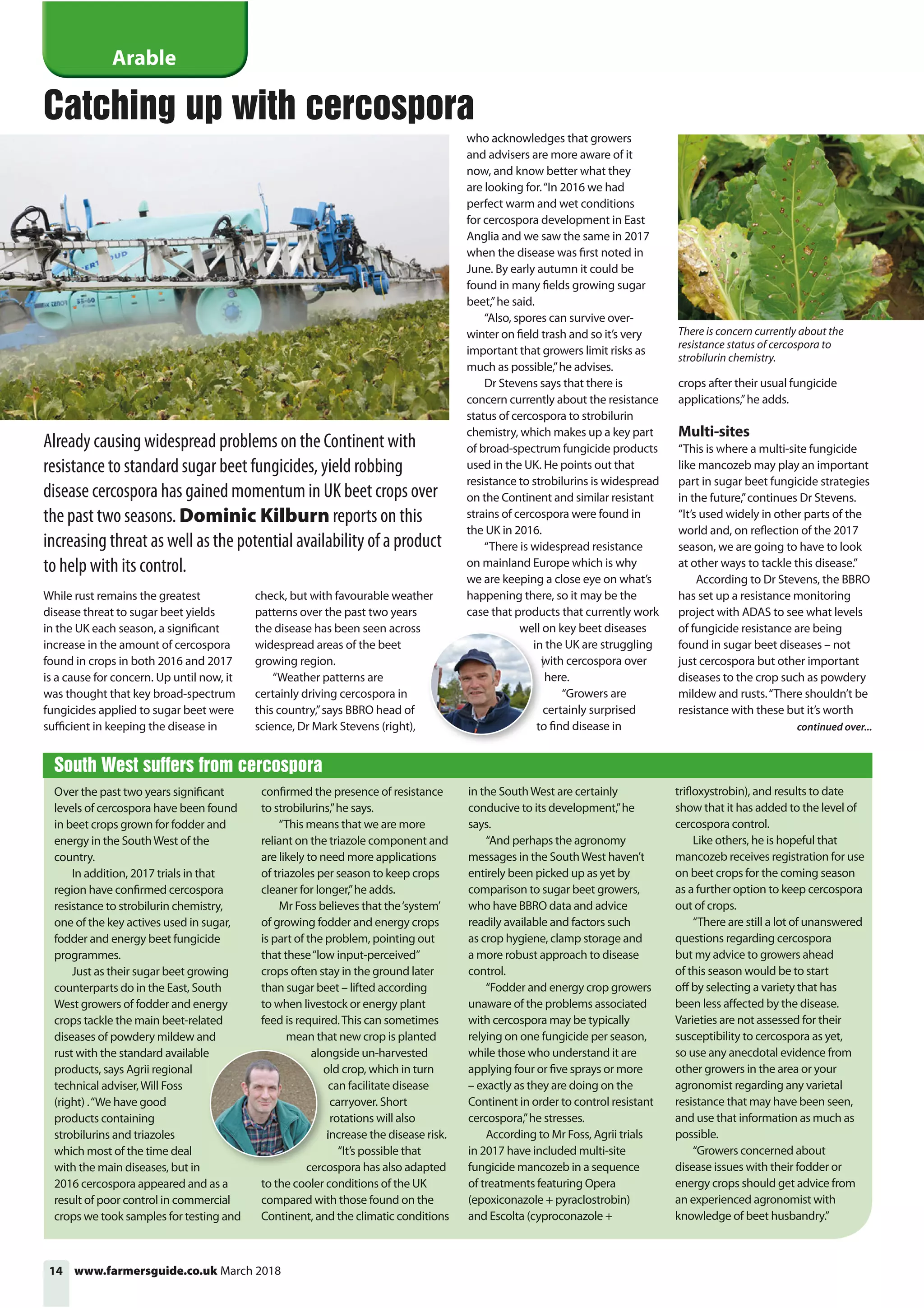 Catching Up With Cercospora - Farmers Guide Article | PDF