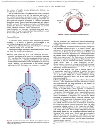 Article about arrhythmias | PDF