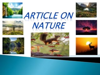 Article On Nature.pptx