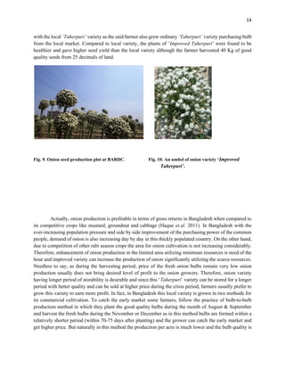 ‘Improved Taherpuri’- a New Improved Onion Variety Developed Through Selection | PDF