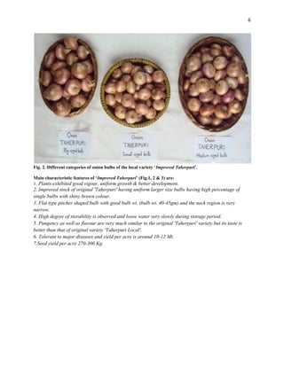 ‘Improved Taherpuri’- a New Improved Onion Variety Developed Through Selection | PDF