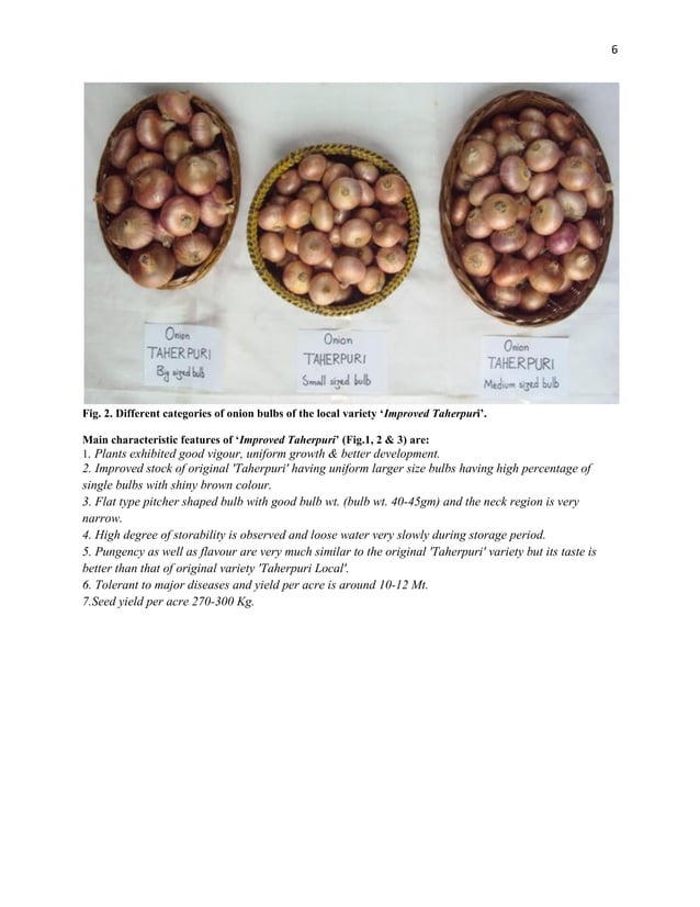 ‘Improved Taherpuri’- a New Improved Onion Variety Developed Through Selection | PDF