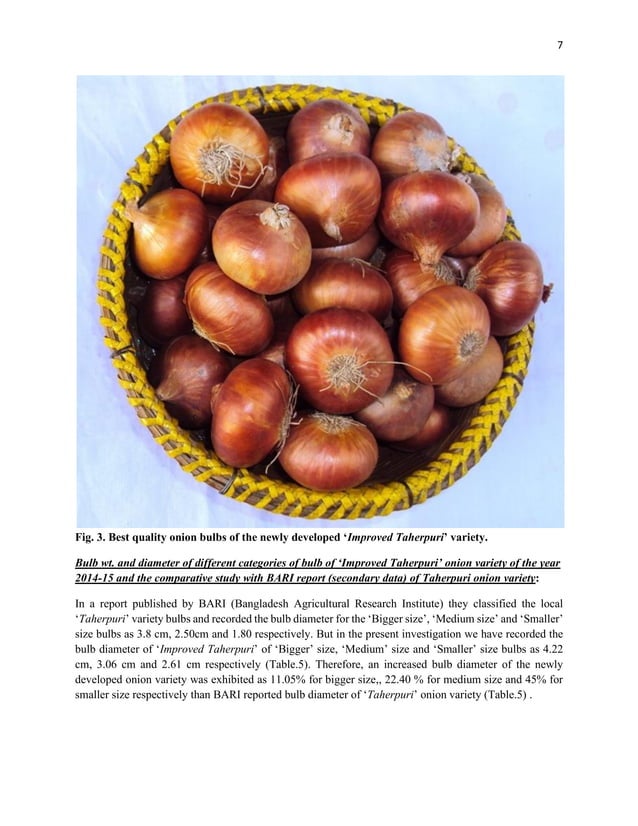 ‘Improved Taherpuri’- a New Improved Onion Variety Developed Through Selection | PDF