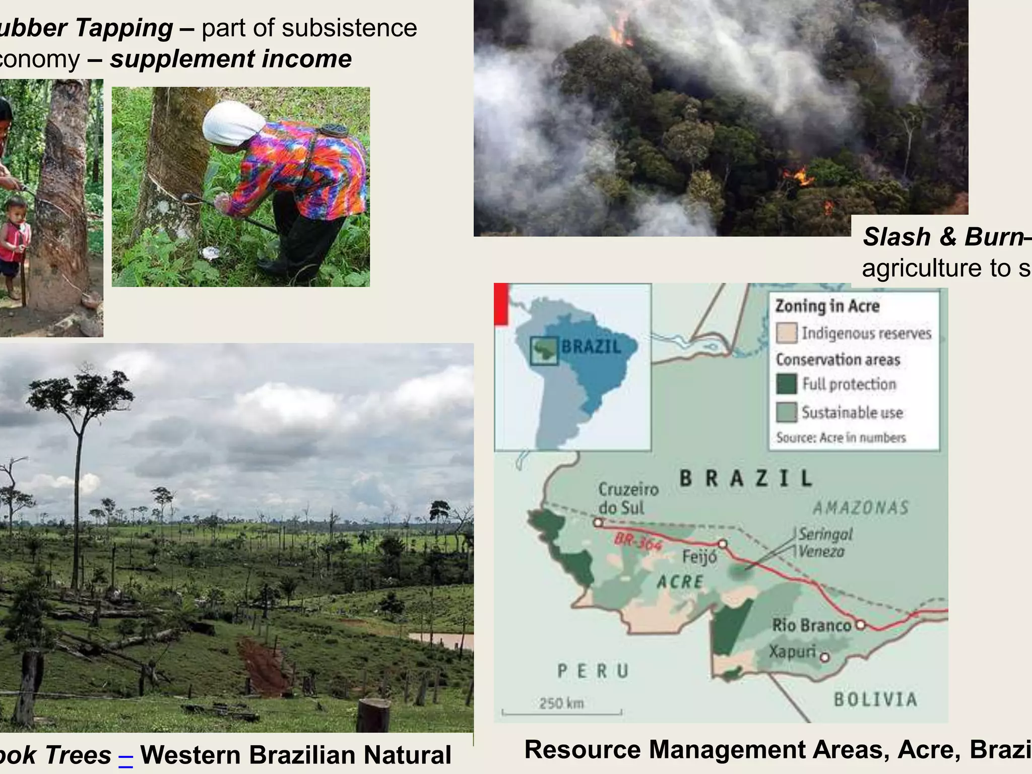 Article Outline: Amazonian Agriculturalists bound by Subsistence ...