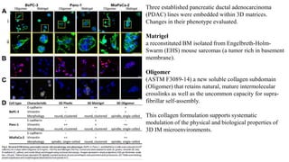 3D collagen fibrillar microstructure guides pancreatic cancer cell ...