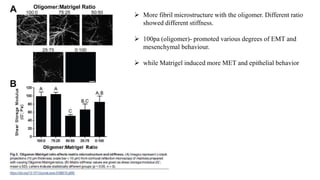 3D collagen fibrillar microstructure guides pancreatic cancer cell ...