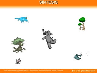 Vida en animales y plantas | PPT