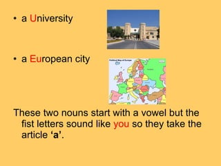 Articles | PPT | Nutrition | Healthy Living