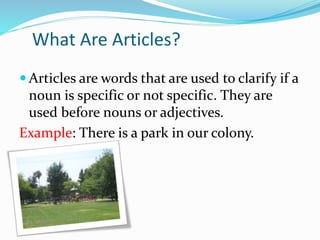 Articles | PPT