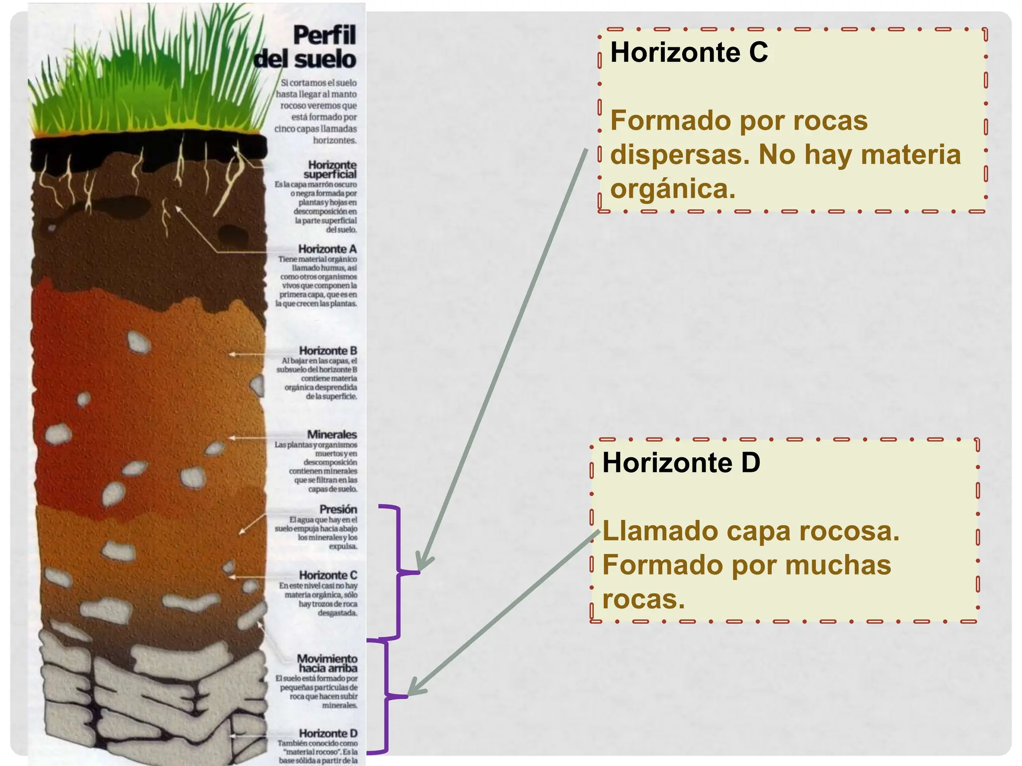 PPT Tipos de suelos y capas u horizontes del suelo | PPT