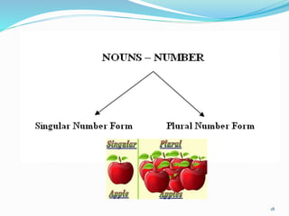 Articles, singular & plural, gender | PPT