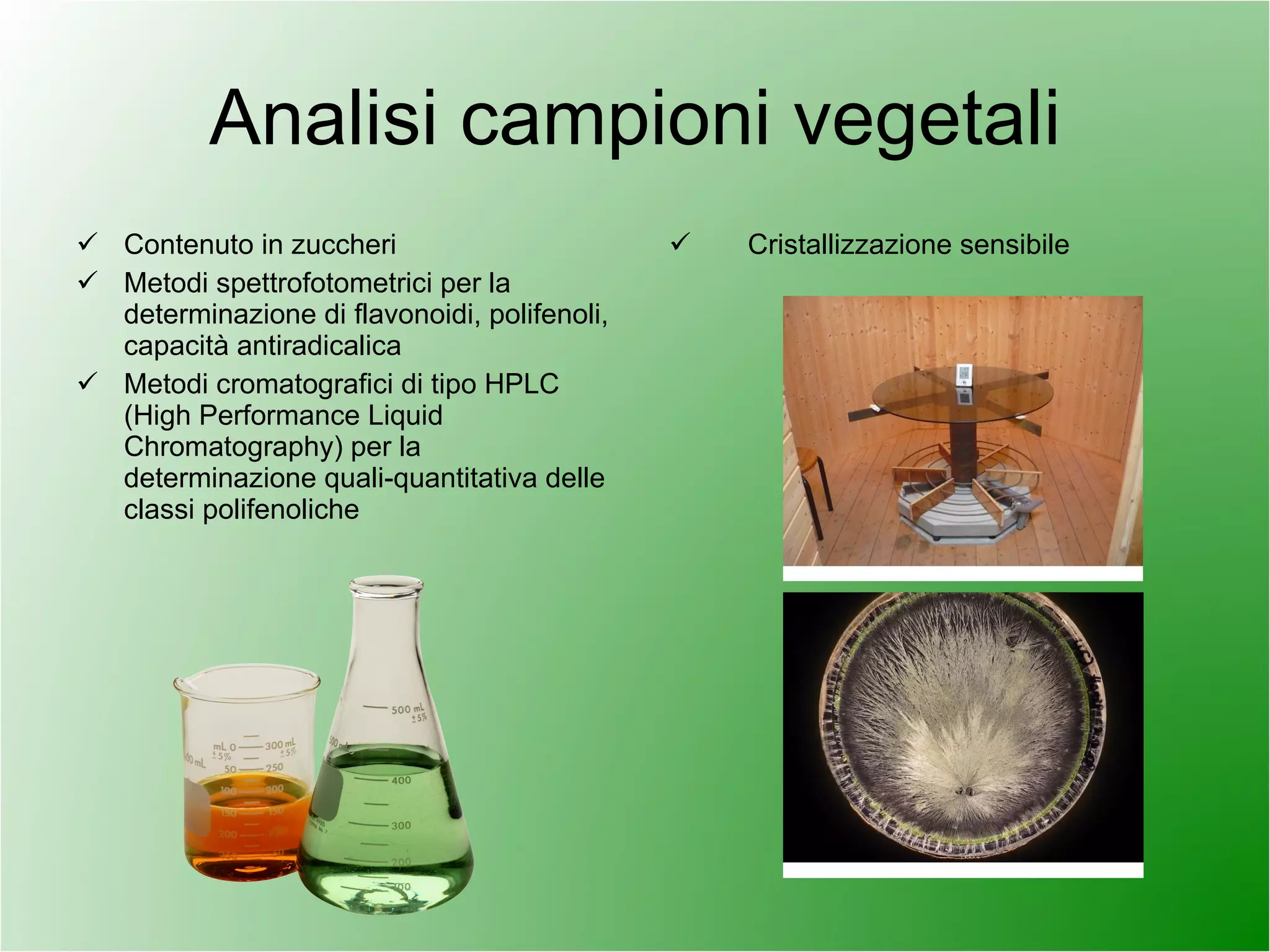 Ricerca sulle differenze nella quantità di antiossidanti e polifenoli ...