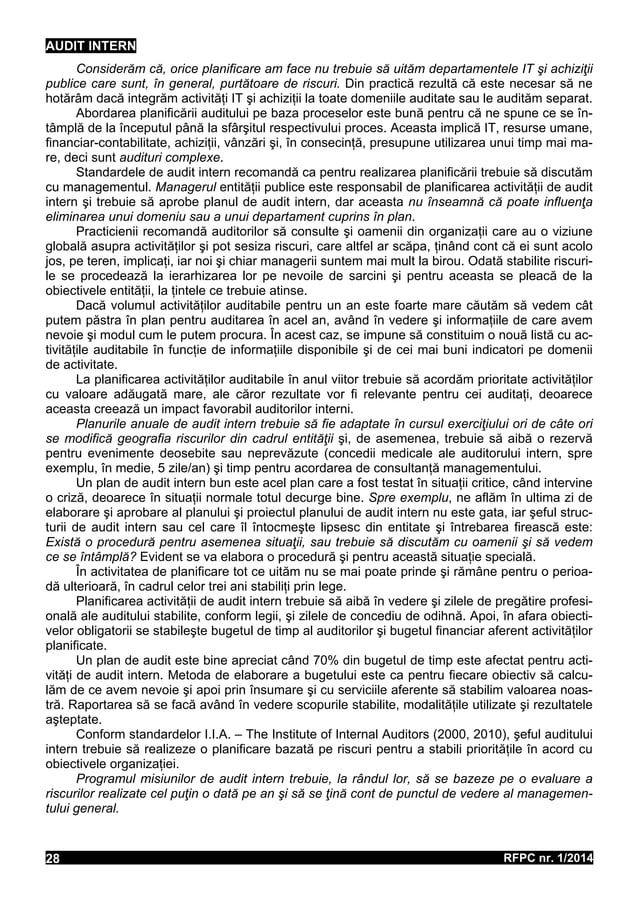 Audit intern | PDF