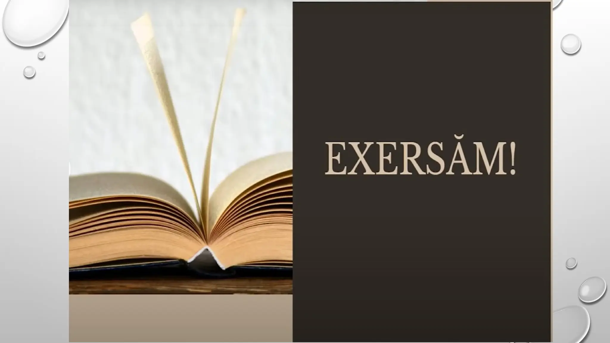 Articolul lexicografic, limba și literatura română | PPTX