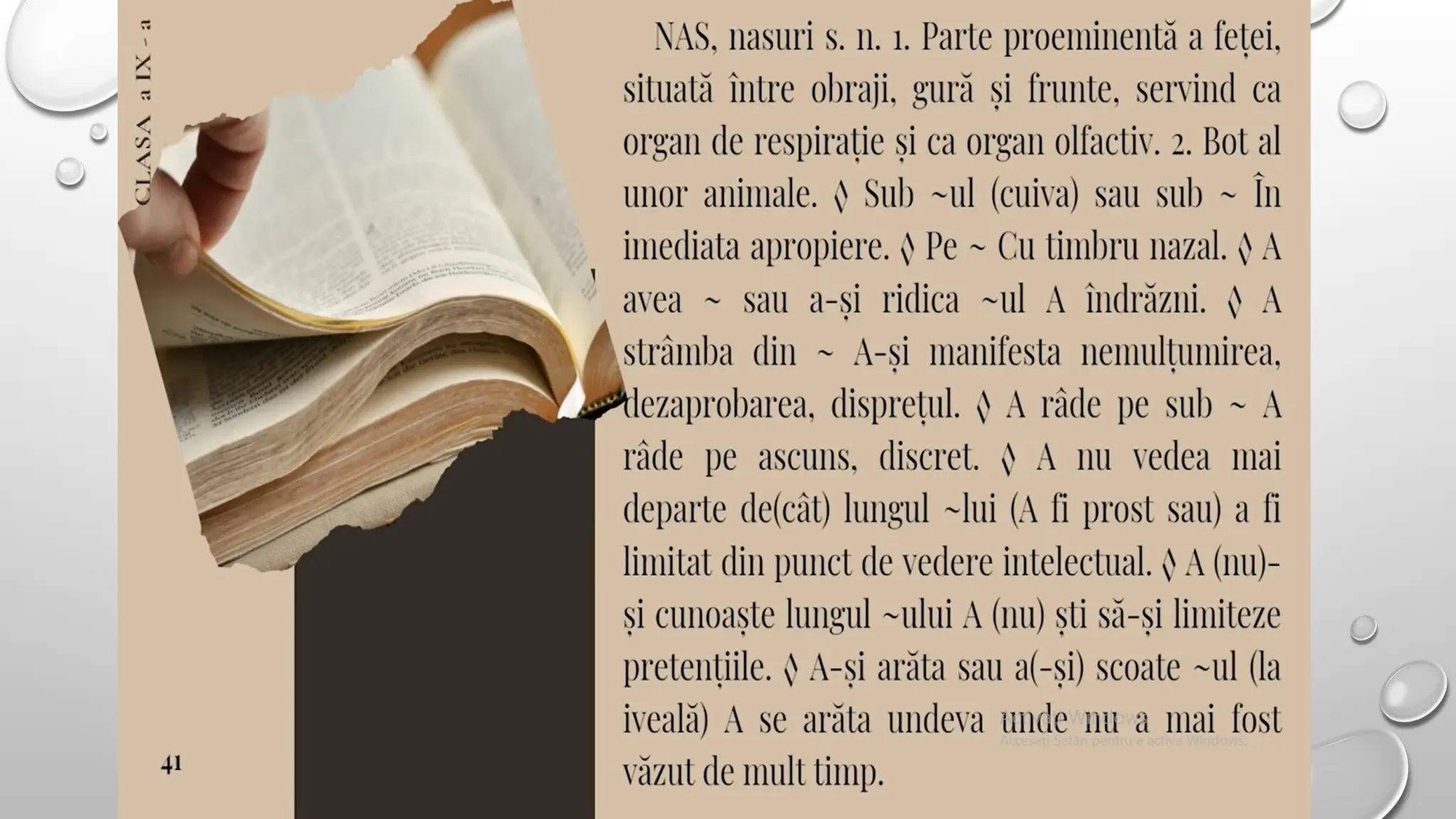 Articolul lexicografic, limba și literatura română | PPTX