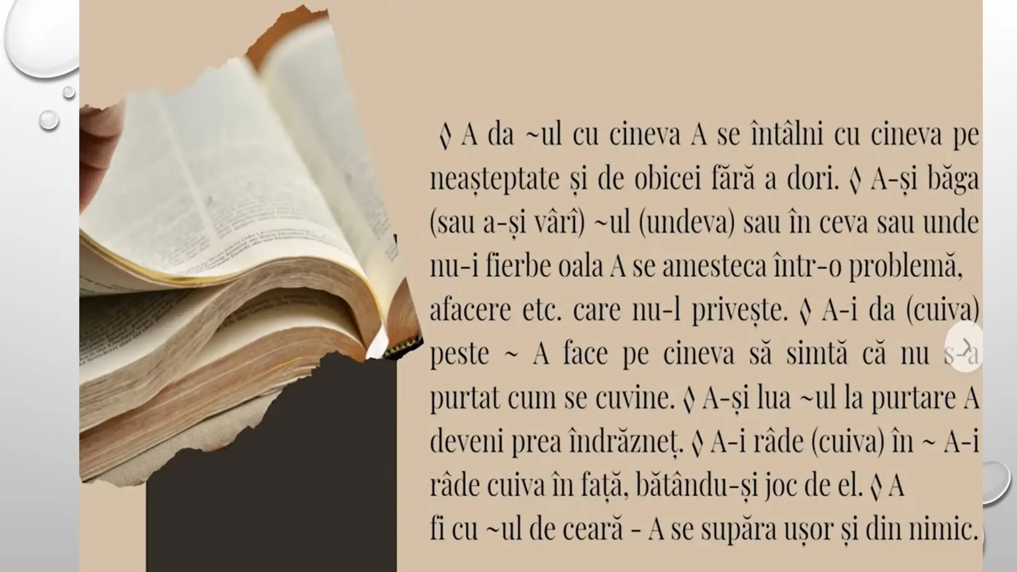 Articolul lexicografic, limba și literatura română | PPTX
