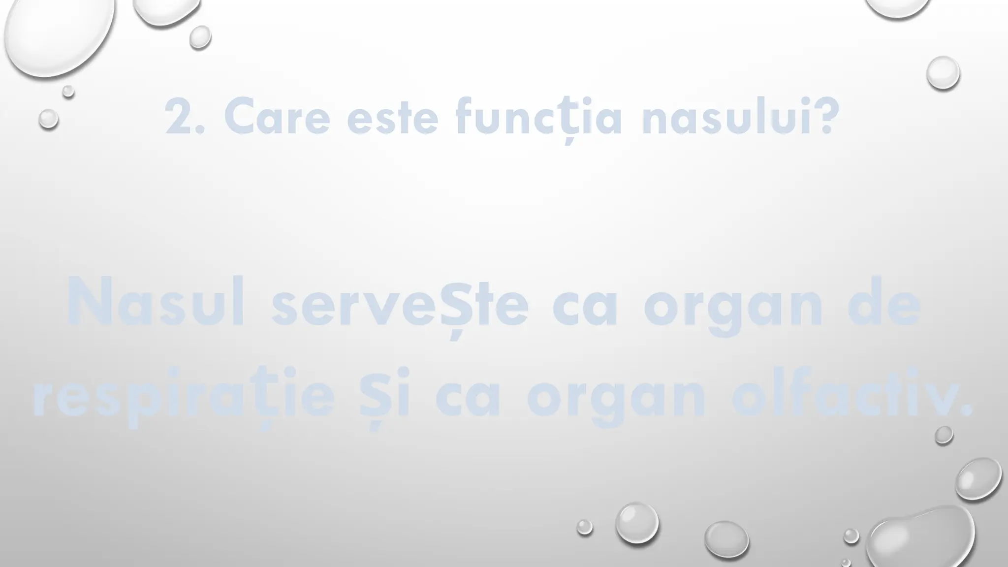 Articolul lexicografic, limba și literatura română | PPT