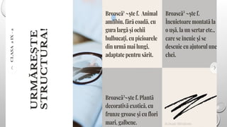 Articolul lexicografic, limba și literatura română | PPTX