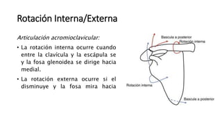 Articulación-glenohumeral-y-rotación.pptx