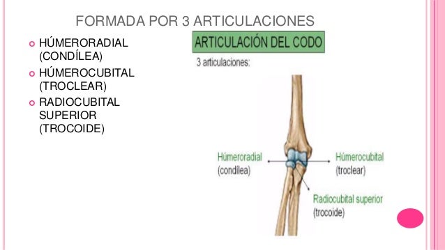 Articulación de codo