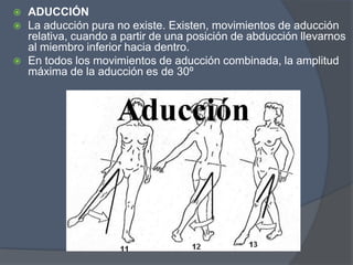 Abducción Y Aducción De Cadera