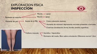 Articulación de la rodilla, exporacion semiologica | PPTX