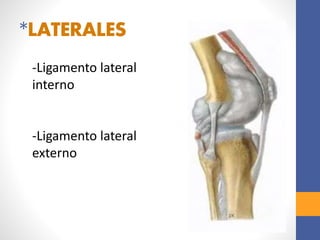 Articulación de rodilla.pptx rene ivan | PPTX