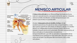 Articulación Temporomandibular | PPT