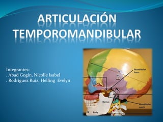 Articulación temporomandibular - ATM | PPTX