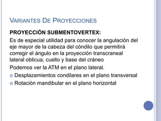 Articulación temporomandibular hepot,,, | PPTX