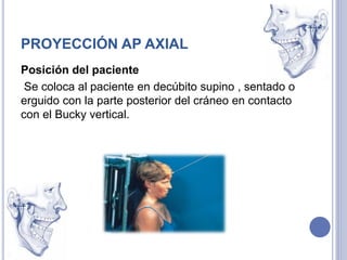 Articulación temporomandibular hepot,,, | PPTX